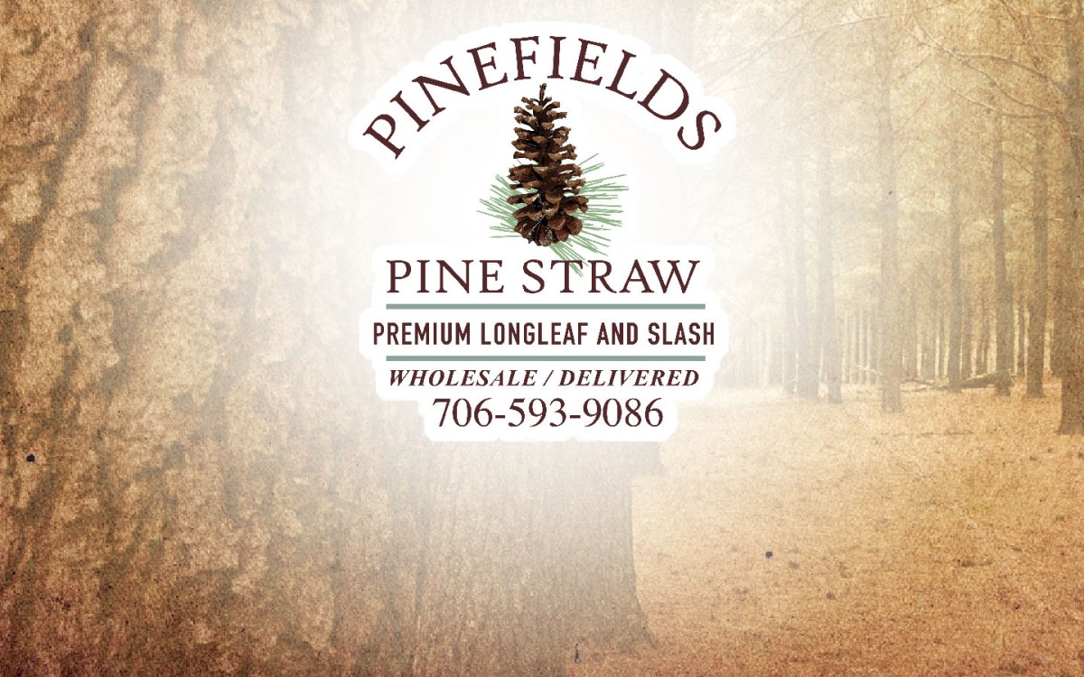 Pinefields Plantation Pine Straw Co. – Ted Sauls – Marketing, Branding ...